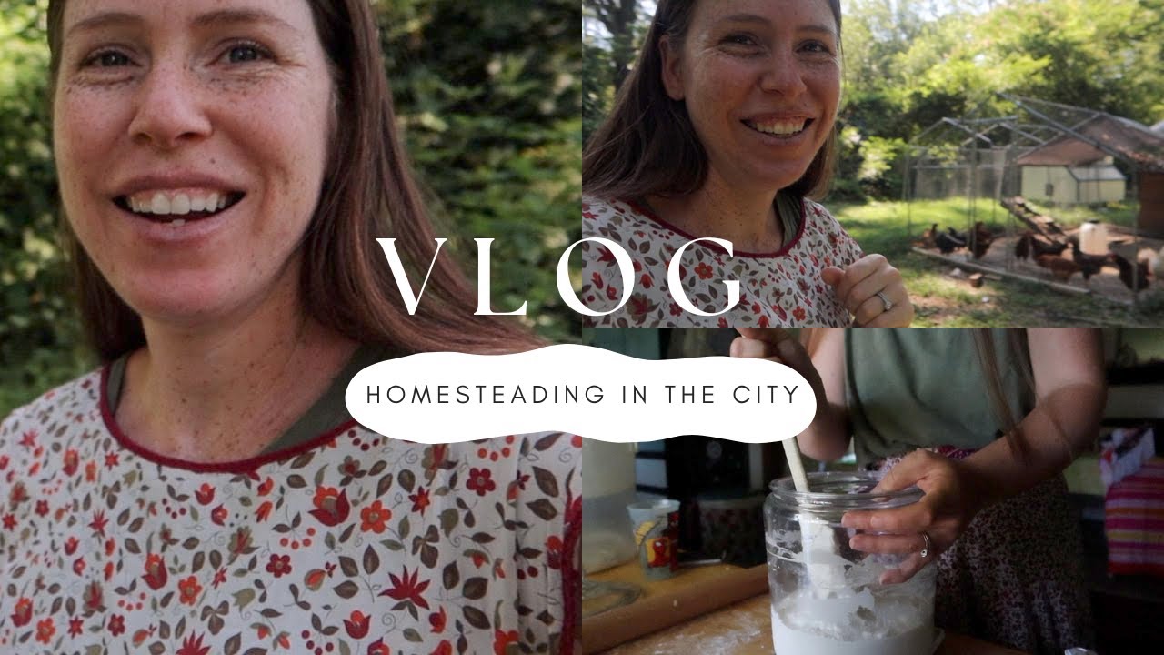 How We Homestead in City Limits - YouTube