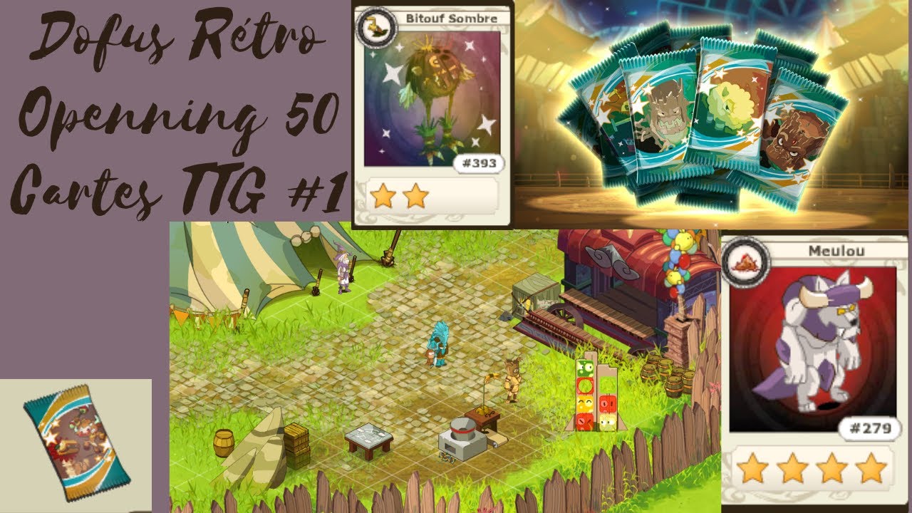 Dofus Rétro, Openning 50 Cartes TTG, On Commence le Classeur #1 ...