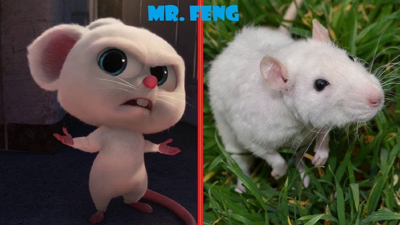 The Nut Job 2 Real Life Characters SMS TV - YouTube