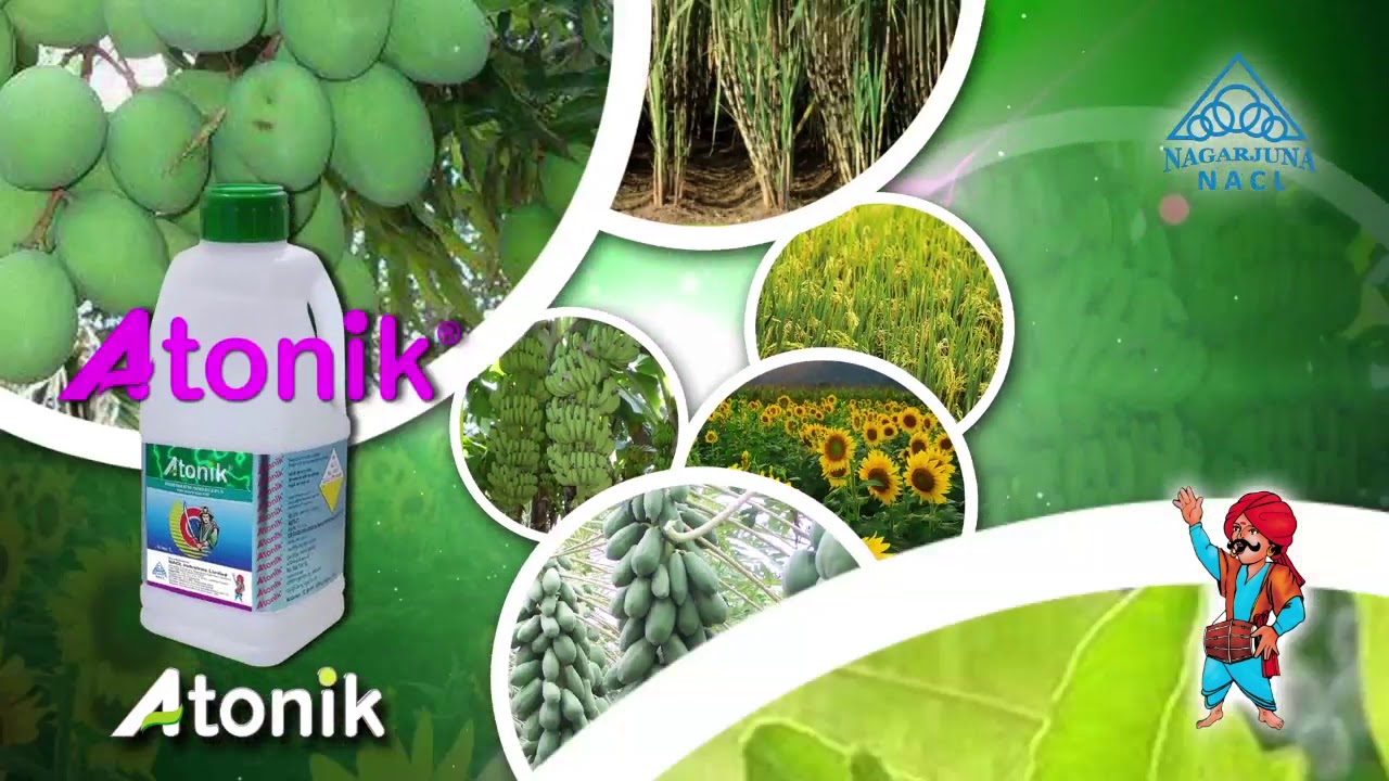 Best Plant Growth Regulator | ATONIK | NACL Industries Ltd - YouTube