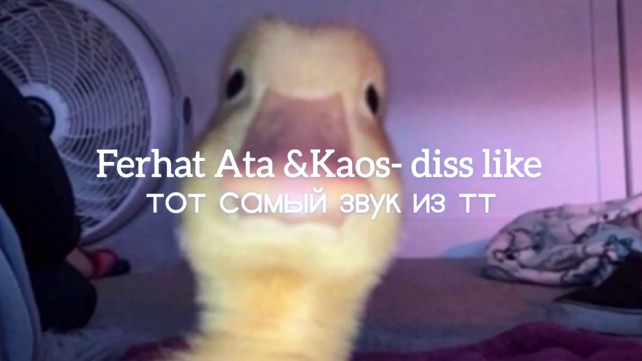 Ferhat Atas & Kaos - Diss Like 👽🕺🏻 / ДИСКОТЕКА ИНОПЛАНЕТЯНИНА ☠️ - YouTube