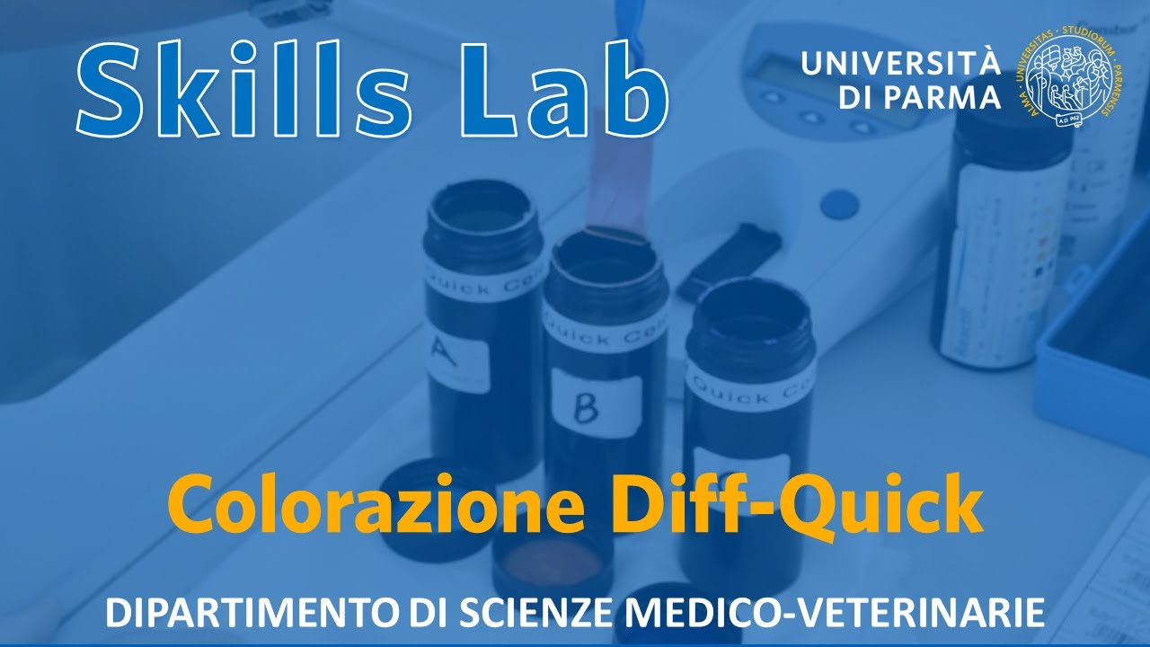 Colorazione Diff-Quick - Skills Lab UNIPR - YouTube