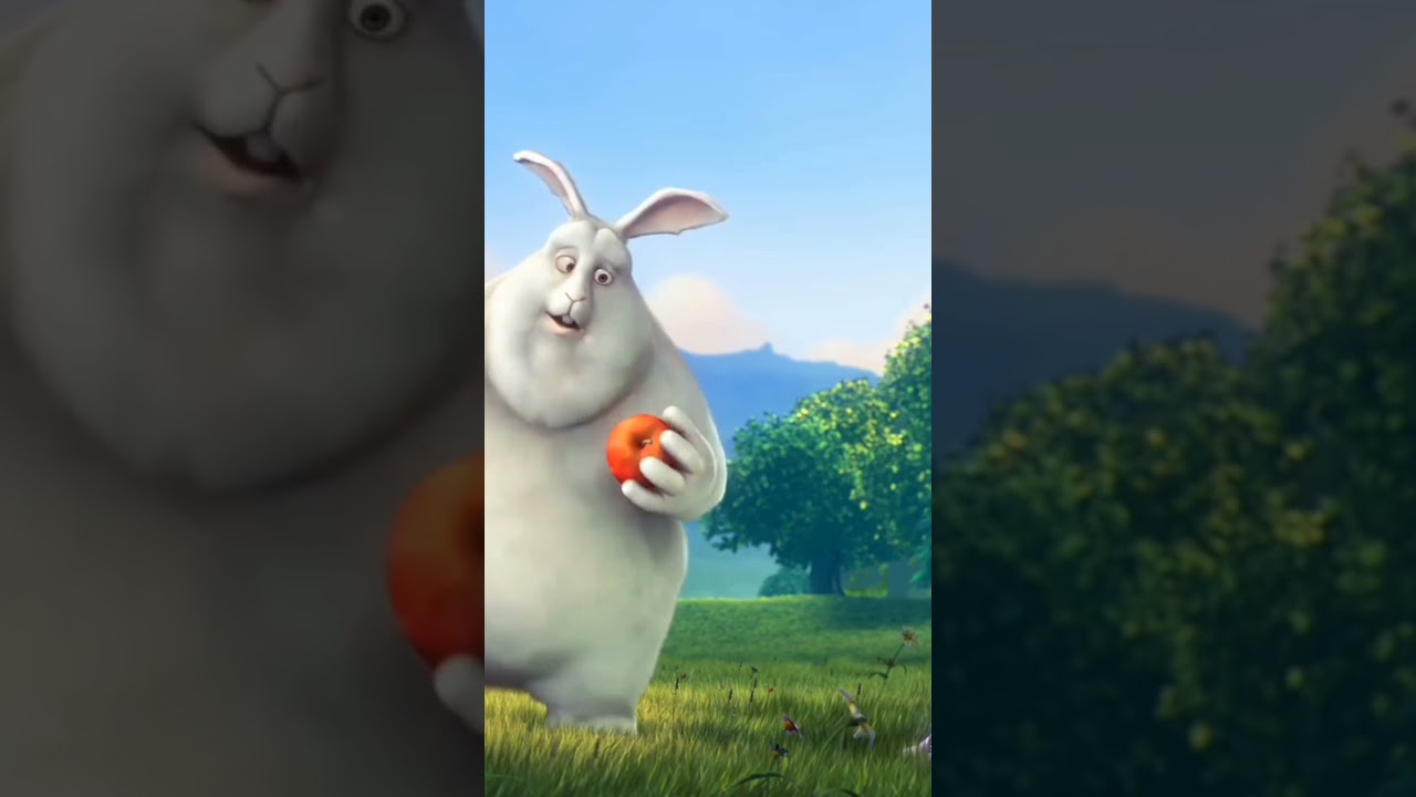 Big Buck Bunny - YouTube