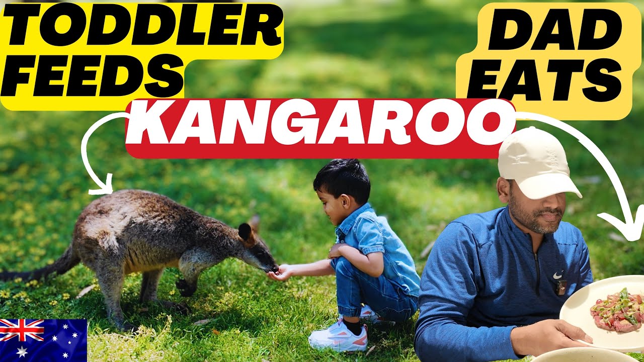 Dhruv Feeds 🦘 Appa Eats RAW Kangaroo Meat in Adelaide | Australia Tamil ...