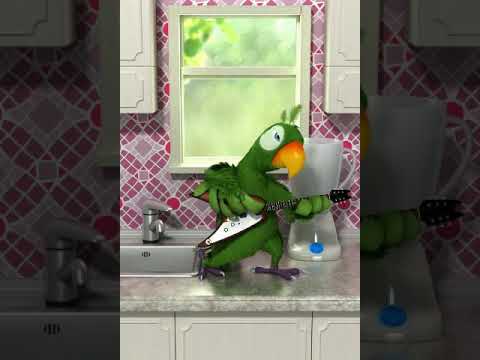 Talking parrot game - YouTube