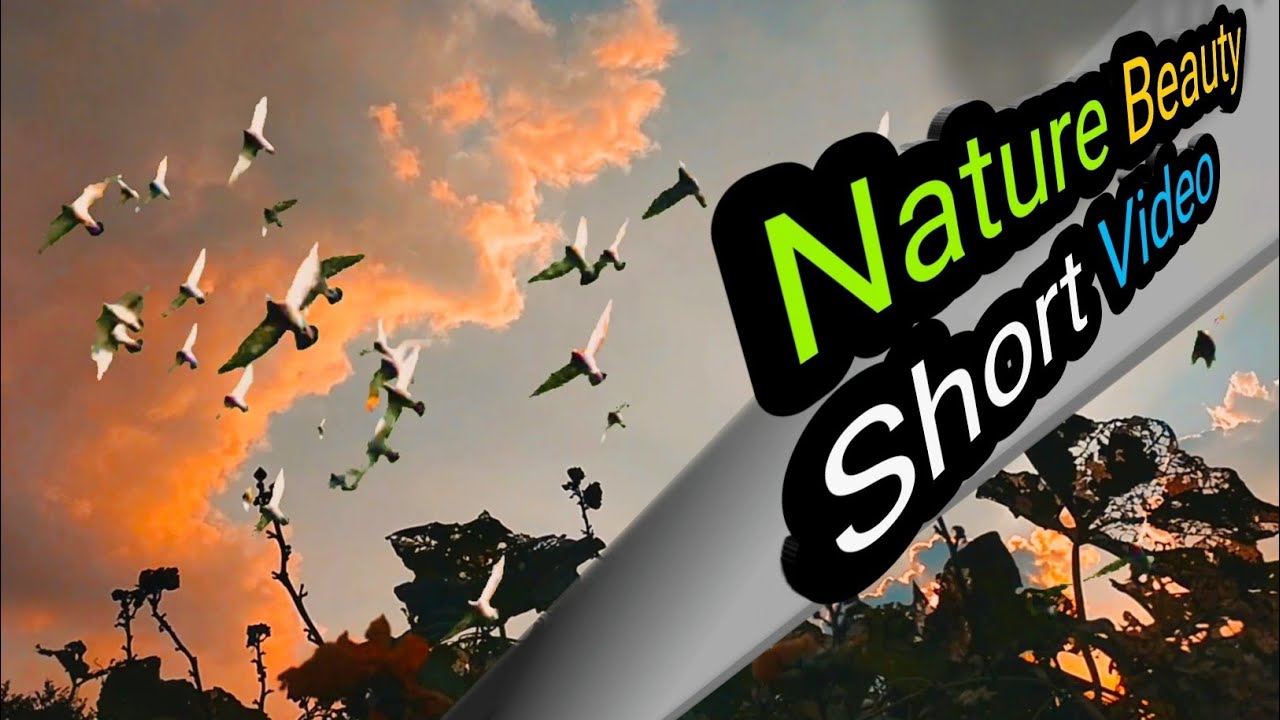 Nature Beautiful Short Video - YouTube