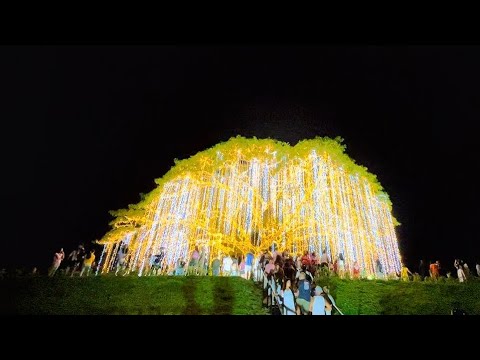The Heritage Tree at Villar City #christmas #viral #fypシ゚viral # ...
