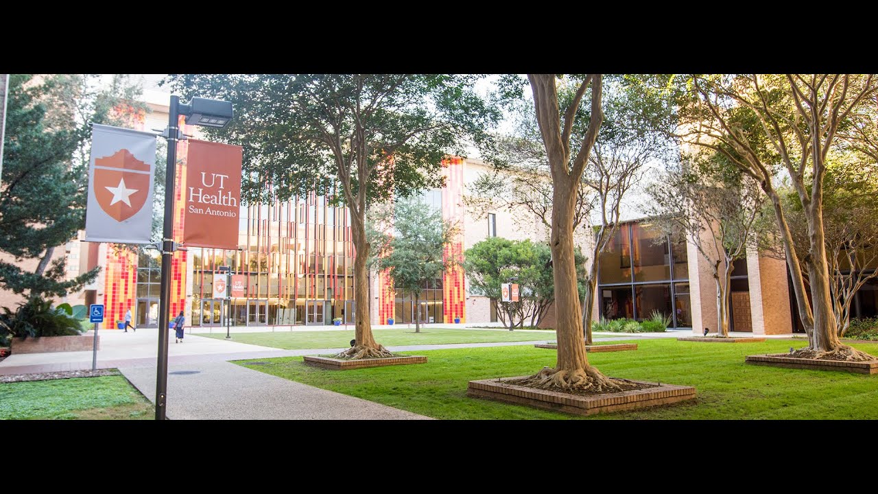 Walking Tour of LSOM: Main Entrance Loop + Courtyard Tour with ...