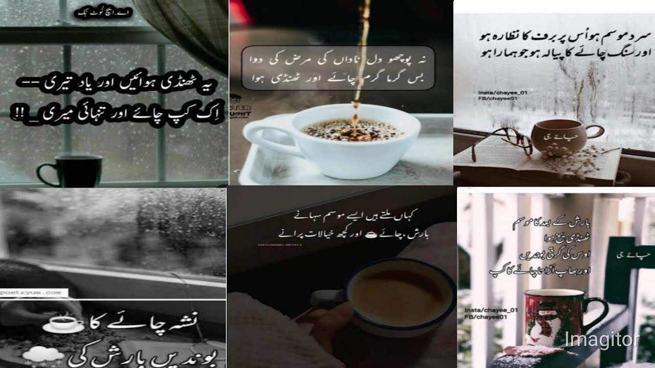 Happy Rian Poetry Tea and Dpz / beautiful mosam tea dpz and poetry ...