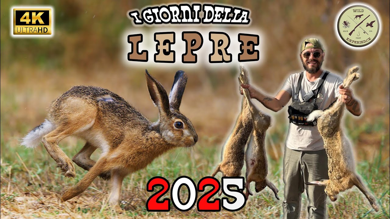 I GIORNI DELLA LEPRE - APERTURA 2025 - CACCIA IN PUGLIA CON I KURZHAAR - HARE HUNTING - CAZA ...