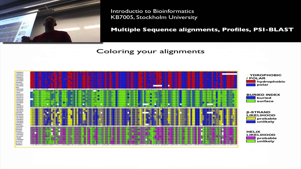 Multiple Sequence Alignments, Profiles and PSI-BLAST - YouTube