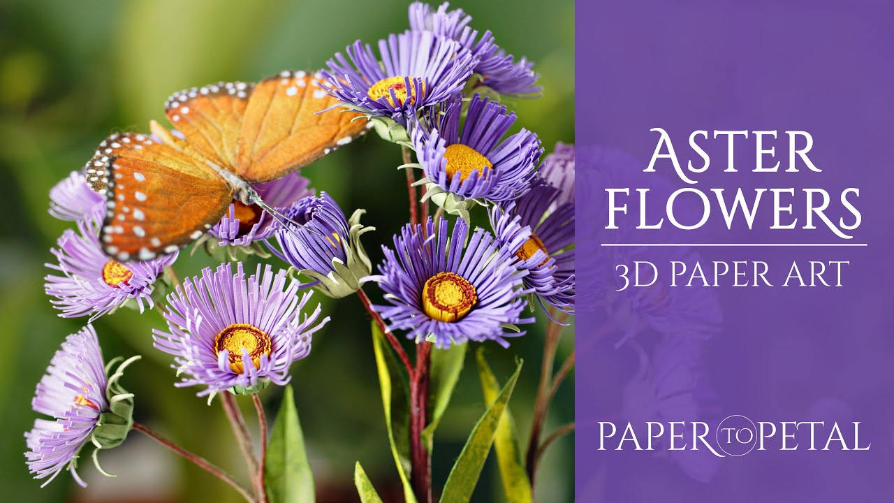 Aster Flowers - 3D Paper Art - ASMR/No Music - Relaxing Art - YouTube