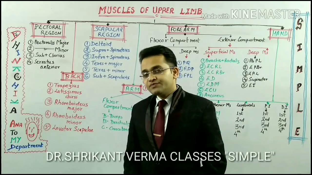 69.UPPER LIMB ANATOMY, SCAPULAR REGION BY DR.SHRIKANT VERMA CLASSES,DHINKCHIKA ANATOMY - YouTube