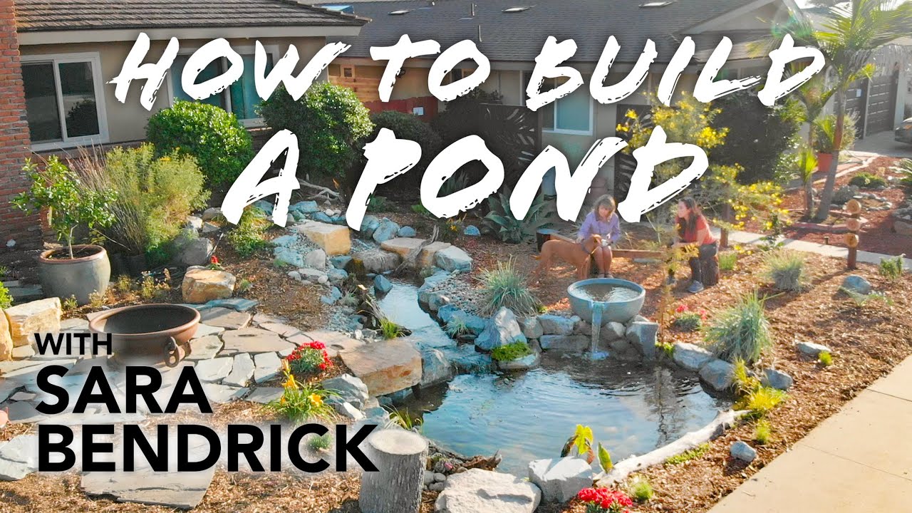 A pond built IN ONE DAY for Sara Bendrick, a collaboration with ...
