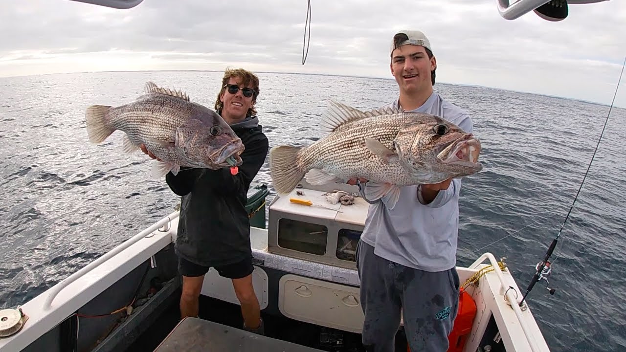 Shallow Water DHU FISH Schools - EP 7 - YouTube