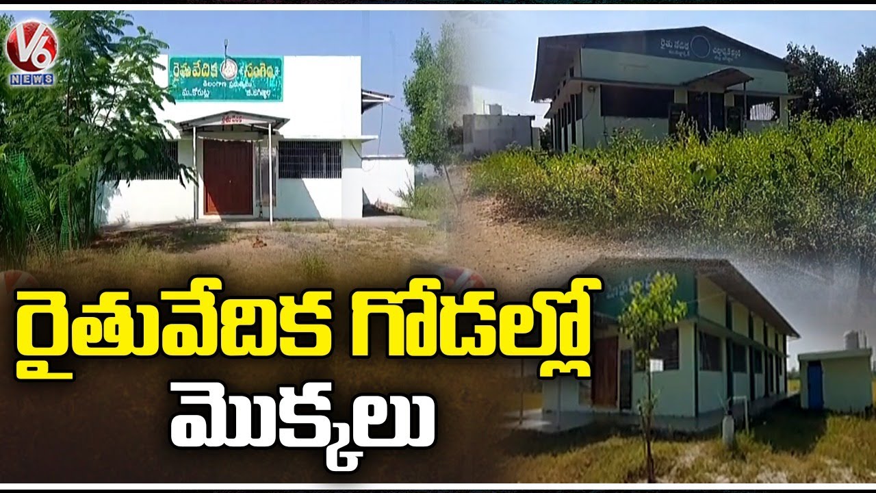 Farmers Comments On Rythu Vedika Scheme | Jagtial | V6 News - YouTube