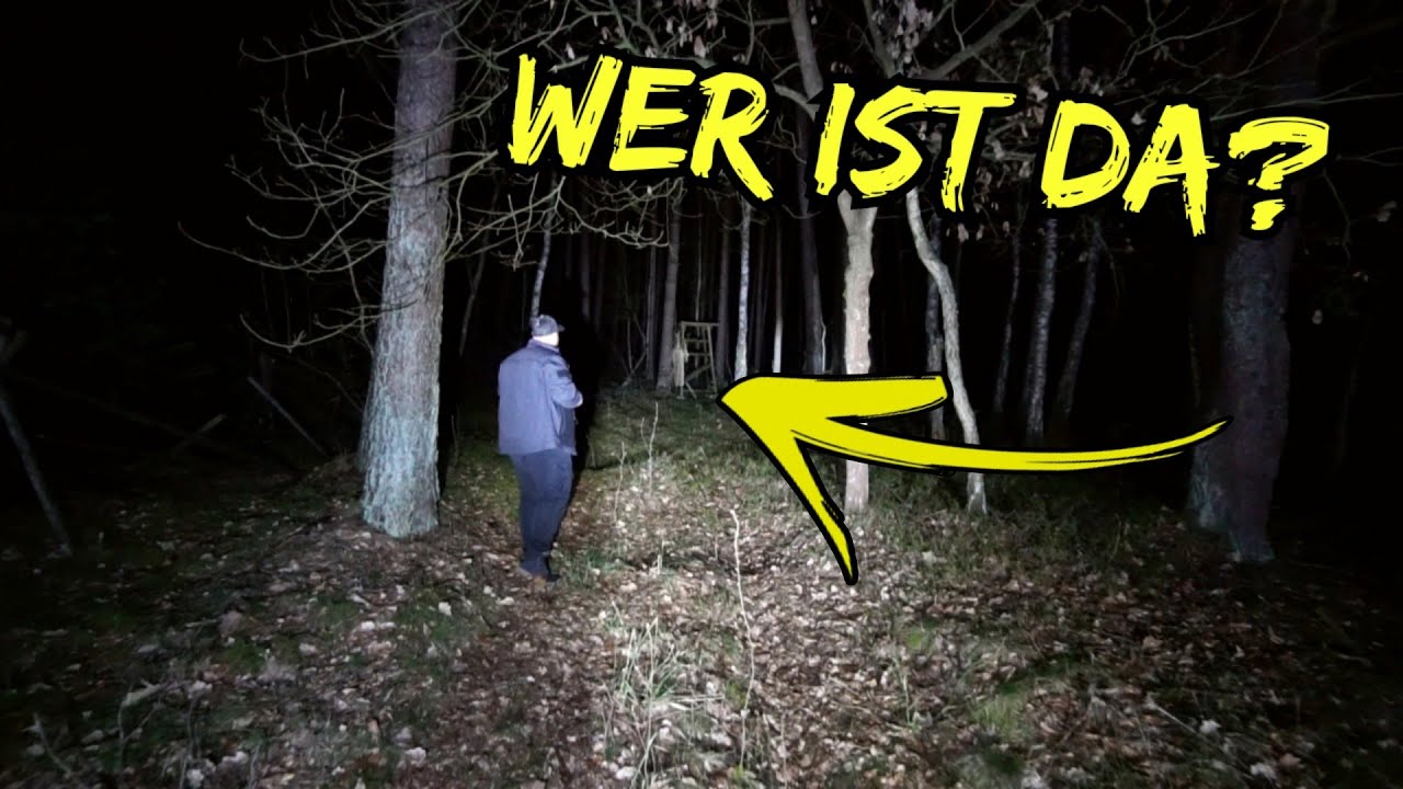 SCHREIE aus dem Wald 😱 HORROR overnight - YouTube