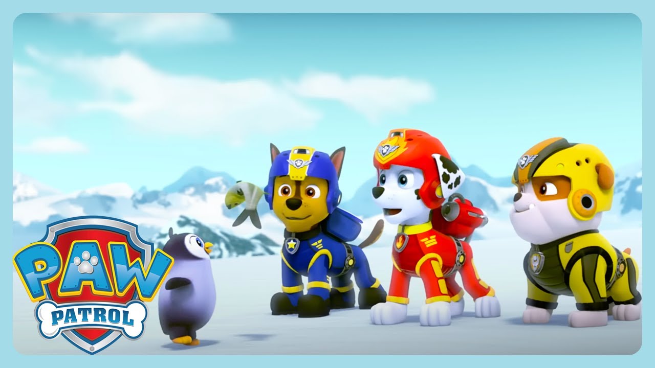 Paw Patrol - Little Baby Penguin | WildBrain Zoo | Cartoons for Kids ...