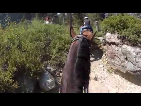 Horseback riding a steep uphill climb - YouTube