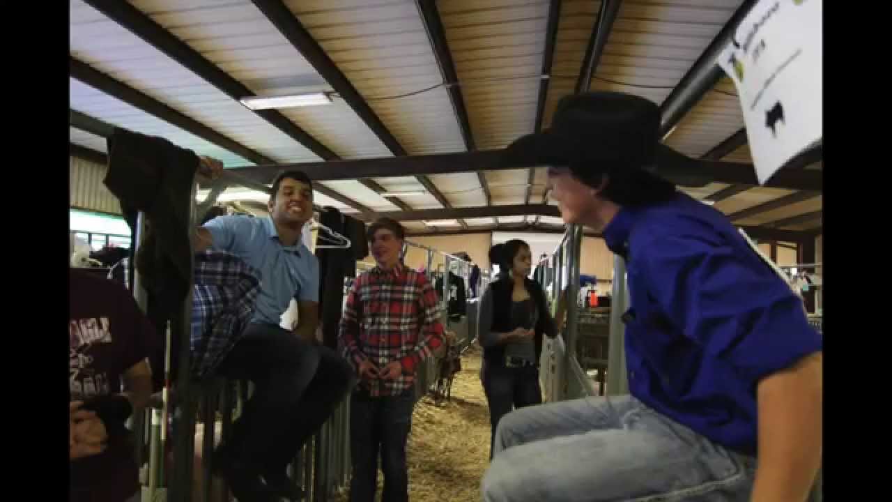 Hillsboro High Hill County Fair - YouTube