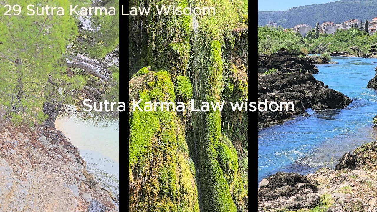29 Sutra Karma Law Wisdom | KarmaLogic #karmalogic #soul #karma # ...