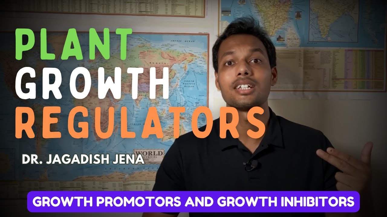 Plant Growth Regulators (PGR) | Phyto-hormones | Growth promotors and ...