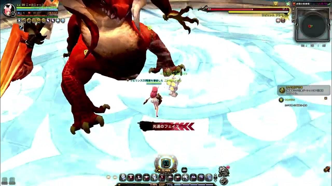 Dragon Nest JP STG19 low budget Luster / ドラゴンネスト 修練19層 エレクトリカ - YouTube