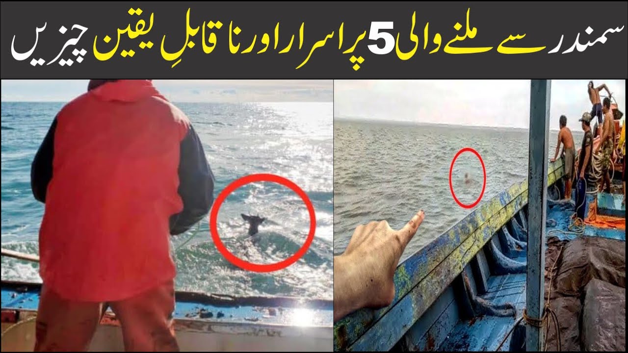 5 Strange Things Found in Ocean | سمندر سے ملنے والی پانچ پراسرار چیزیں ...