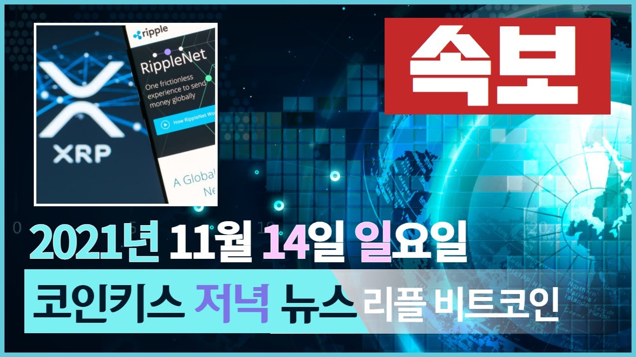 리플 비트코인 이더리움 속보 리플 11월14일자 한주간 단기 가격표곧짤림 비트코인 전문가 코인시장 확실한