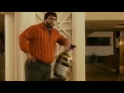 2035 shitpost status