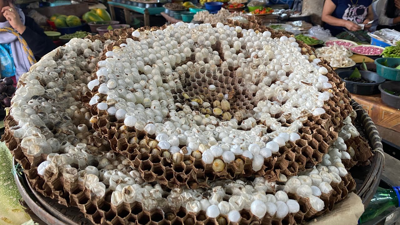 Cooking King Hornet 🐝 | One of the most Expensive Naga delicacy. - YouTube