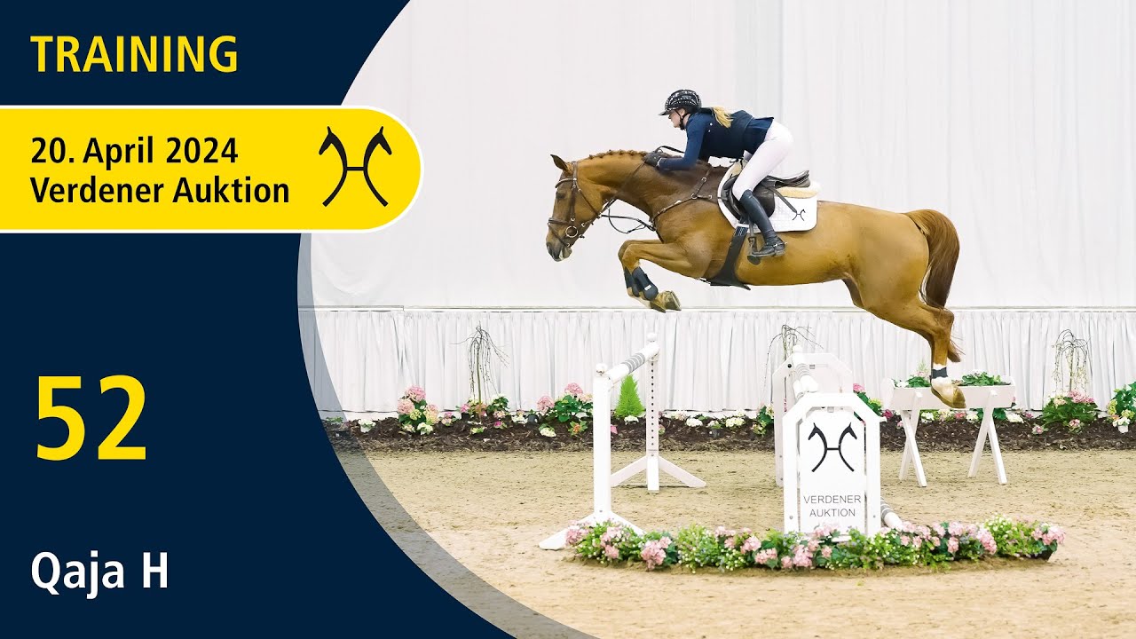 Verden Auction Online - Training - April, 20 - No. 52 Qaja H by Quaid I ...