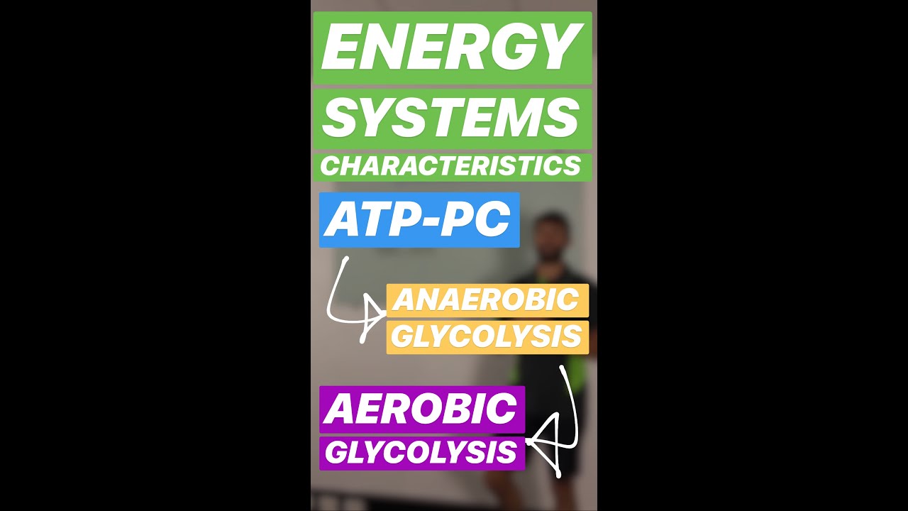 VCE PE - Energy System Characteristics - YouTube