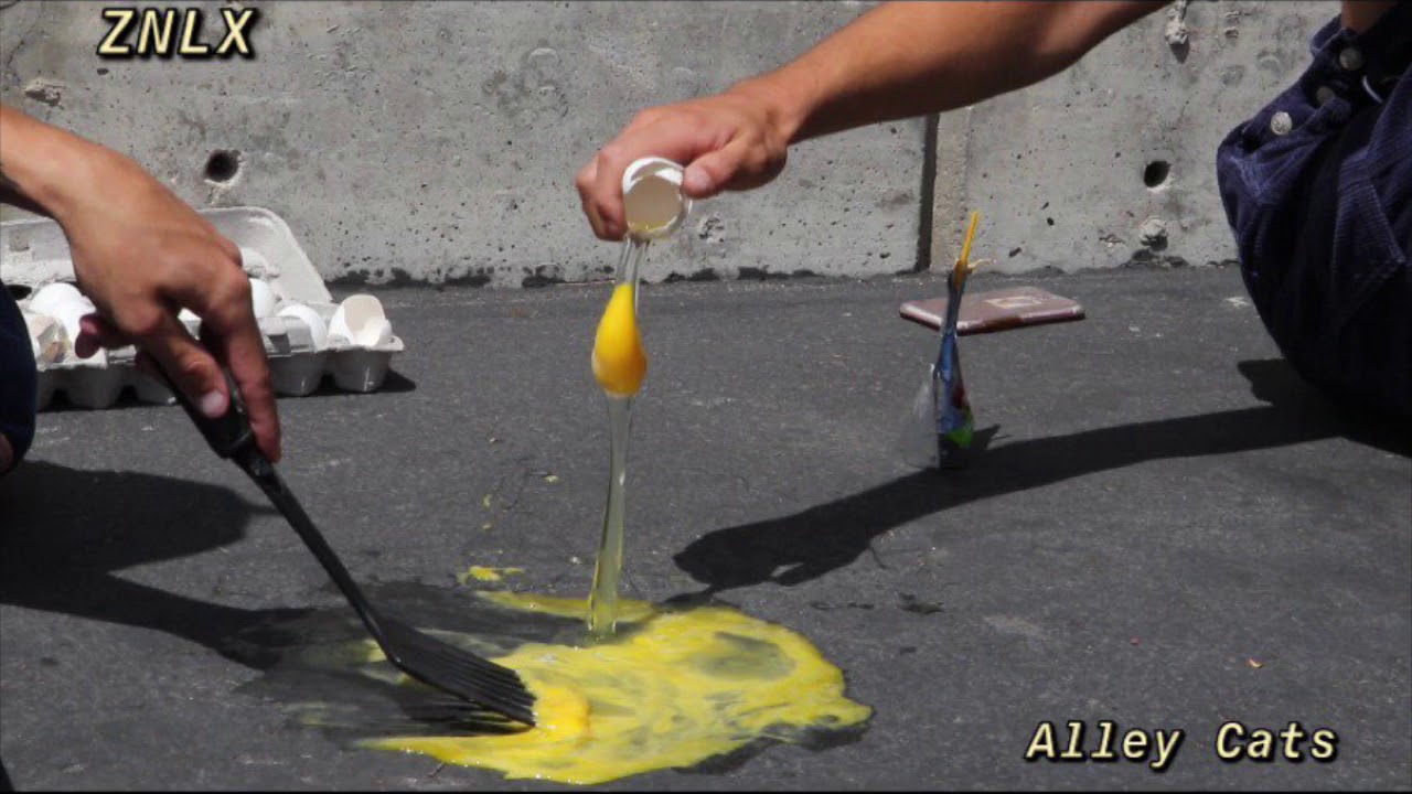 Zen Lunatics - Alley Cats - YouTube