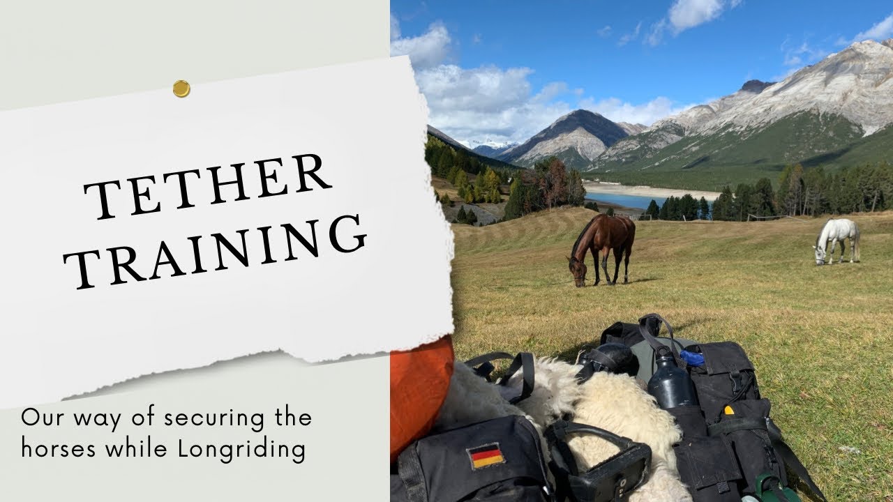 Tether training for securing your horse on a longride - YouTube