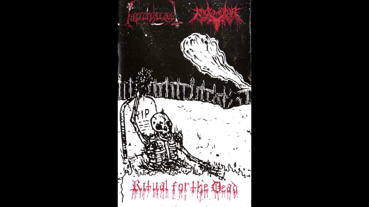Necroholocaust / Sadomator - Split (Full) - YouTube