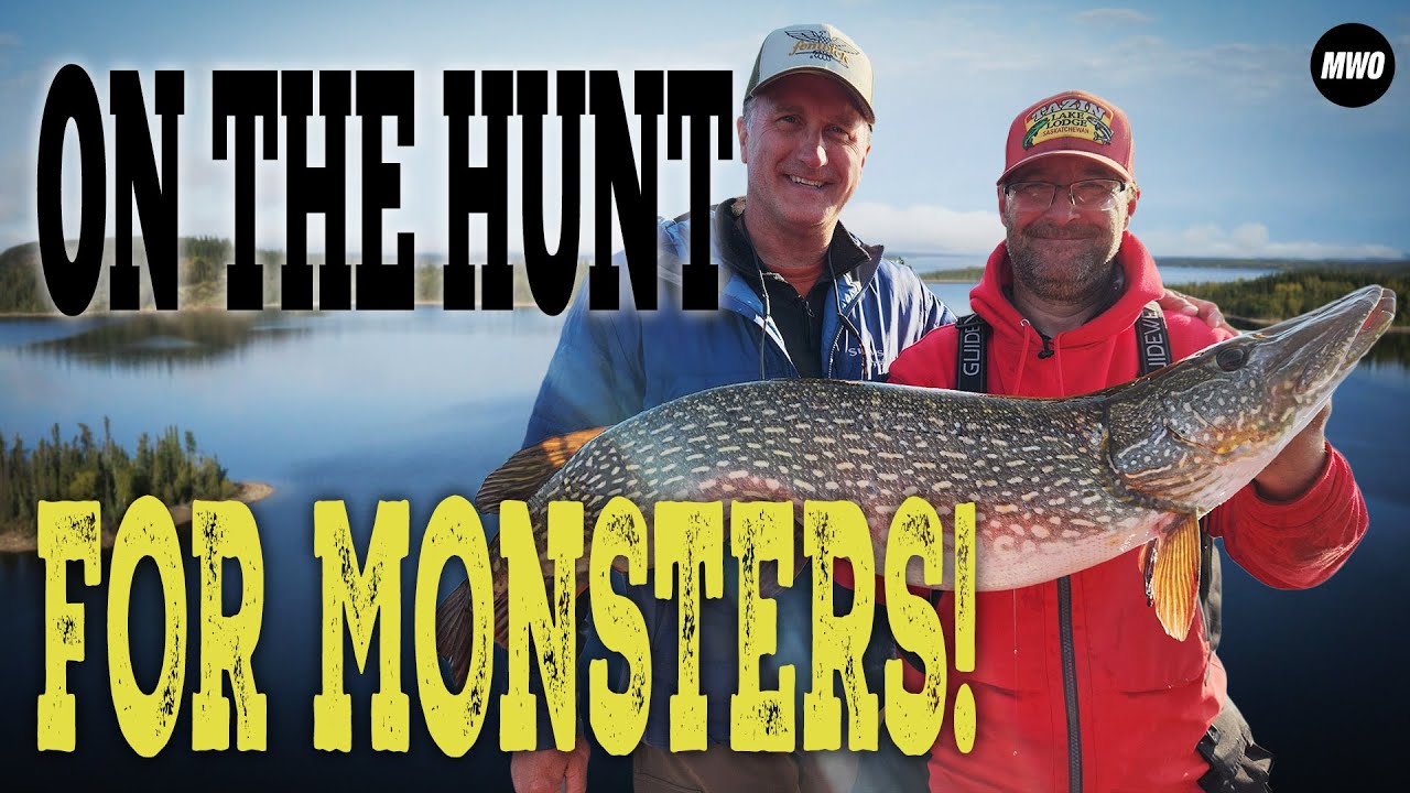 Trophy Lake Trout on Tazin Lake - YouTube