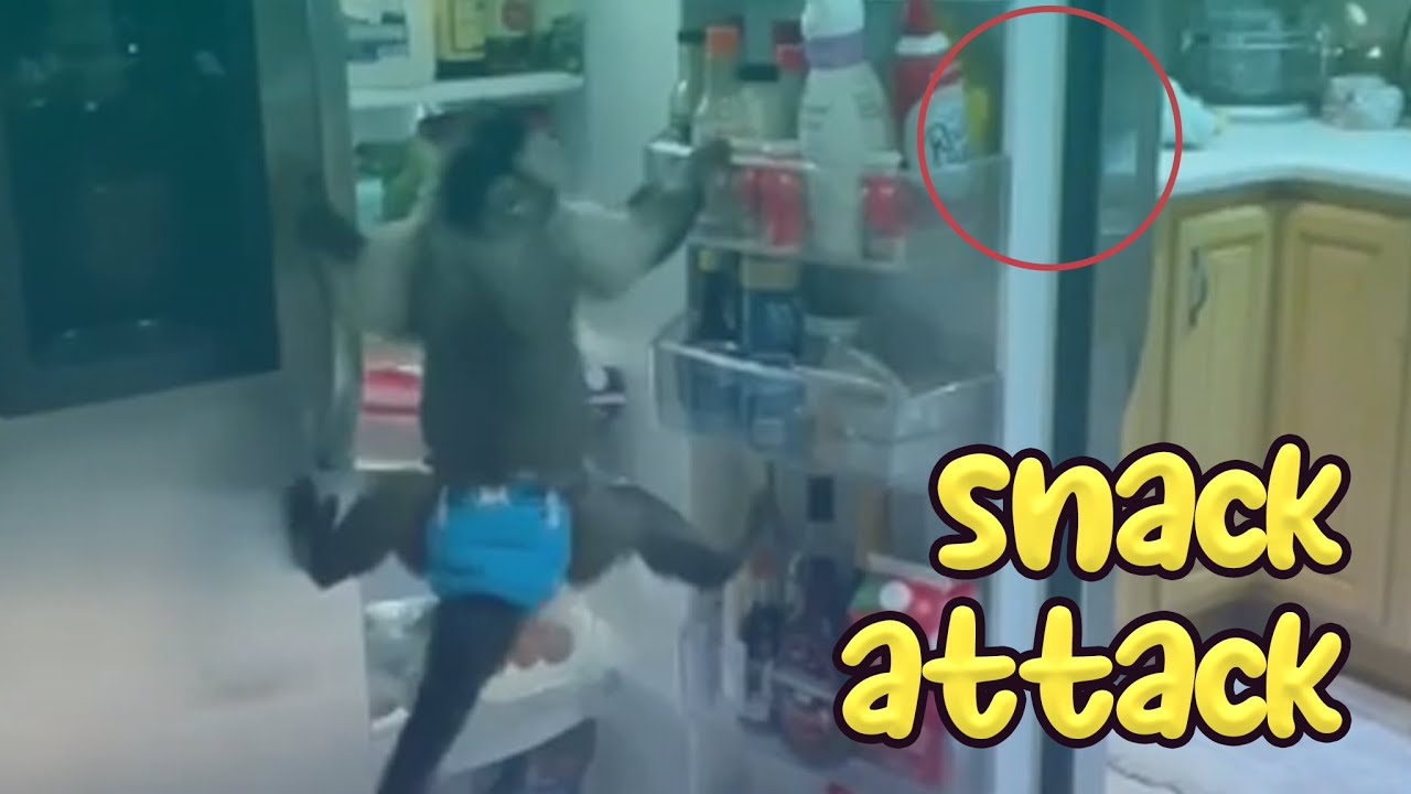 Gaitlyn Rae Does Her Own Stunts! 🦸‍♀️🐒 - YouTube