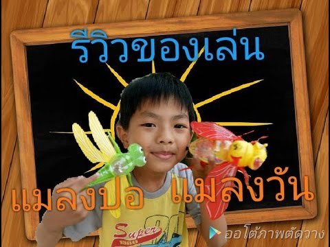 รีวิวของเล่นแมลงปอยักษ์และแมลงวันยักษ์/HOJUN CHANNEL - YouTube