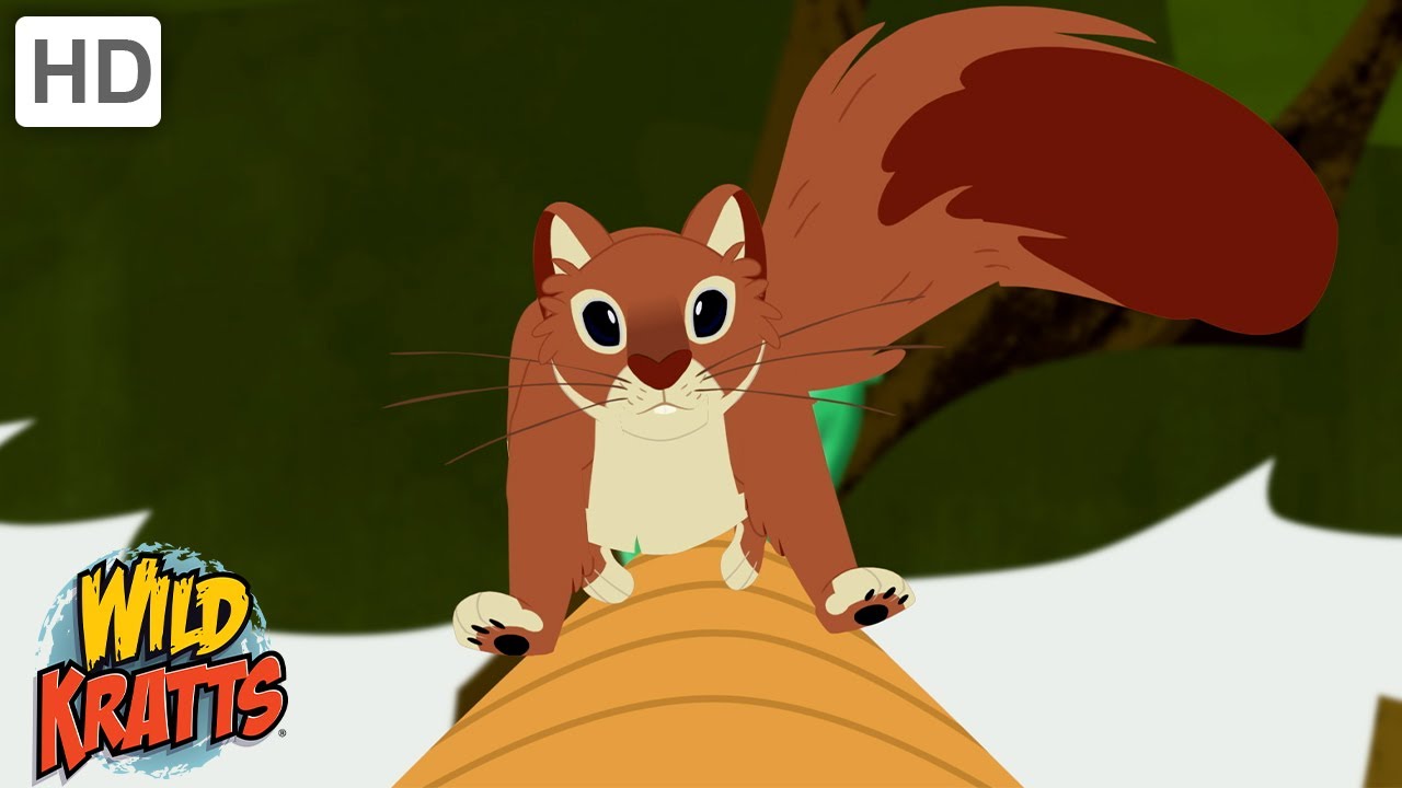 The Importance of Tails | How Climbers and Runners Stay Balanced | Wild ...