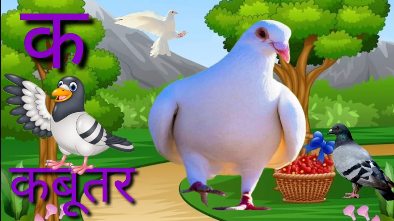 k se kabutar kh se khargosh, Hindi alphabet gyan video, क से कबूतर ख से ...