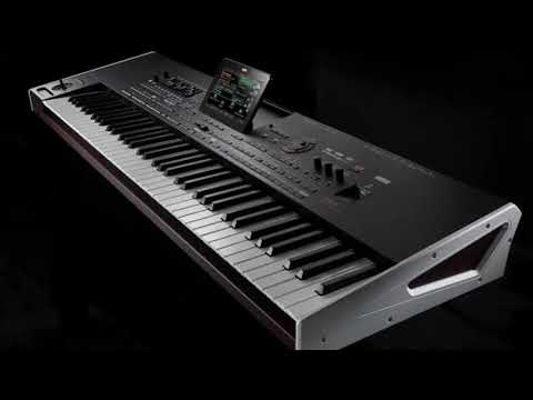 ERİK DALI DEMO KURU SAZ KORG PA4X MUSTAFA CANİK