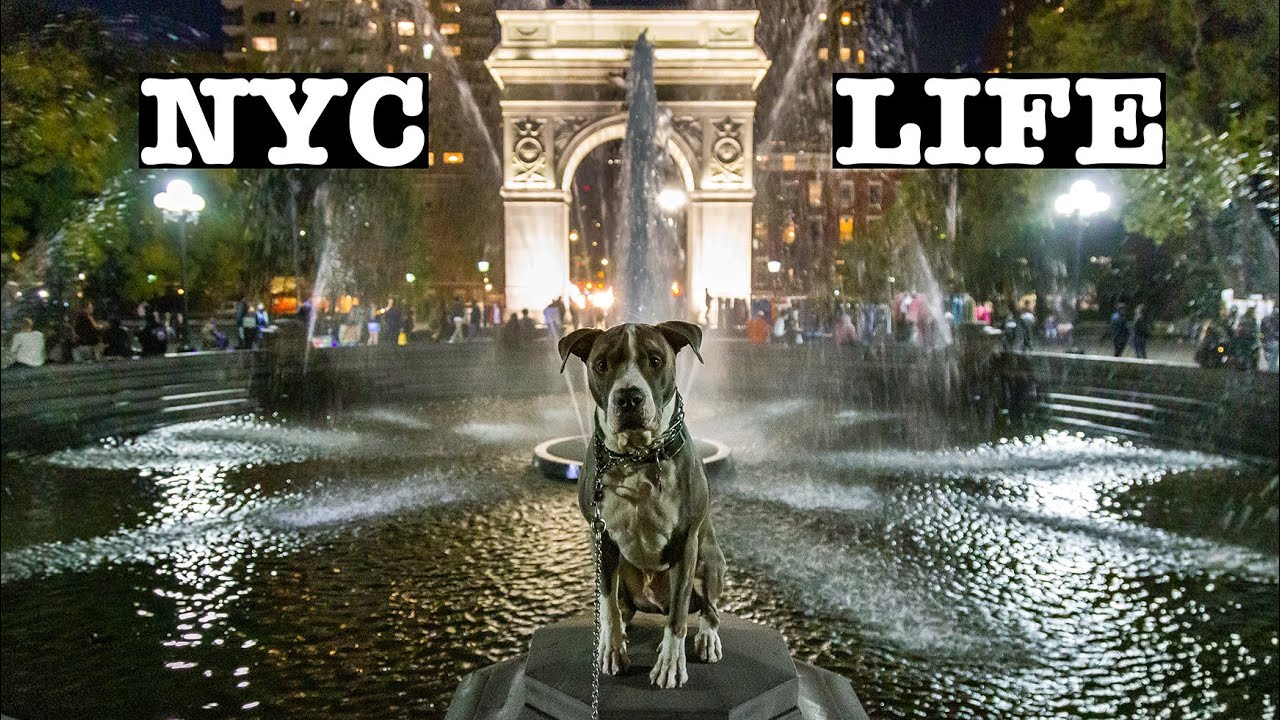 NYC LIFE: Walking Union Square to Washington Square Park - YouTube