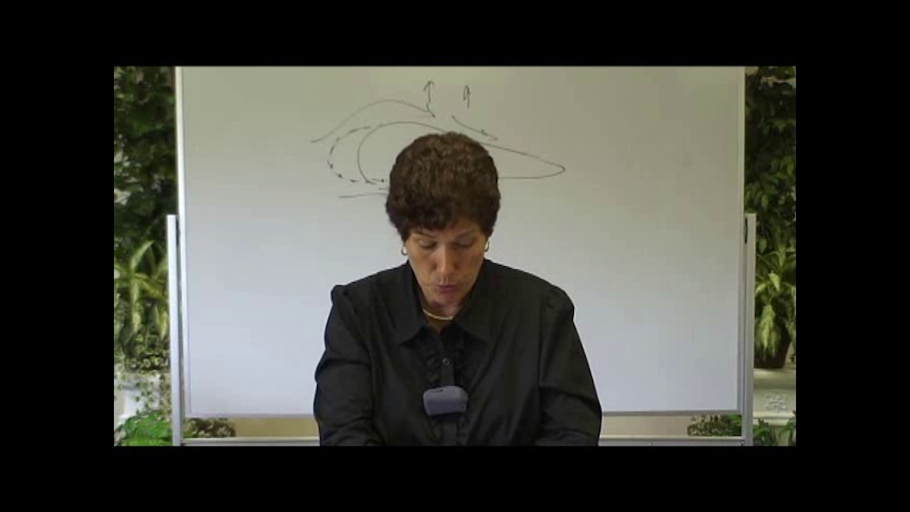 Biology Module 16 Study Guide - YouTube