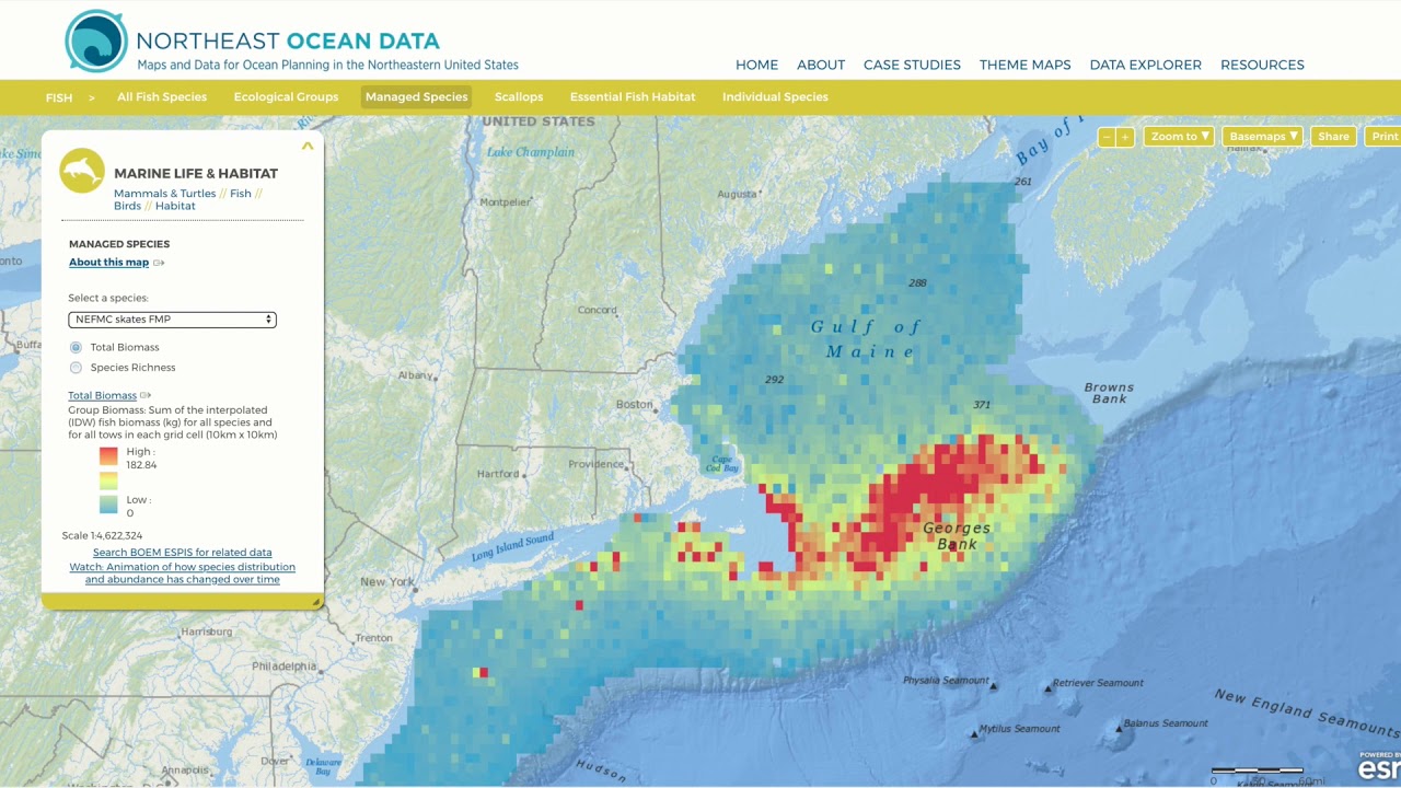 Tutorial: Introduction to Marine Life and Habitat Theme Maps (2:48 ...