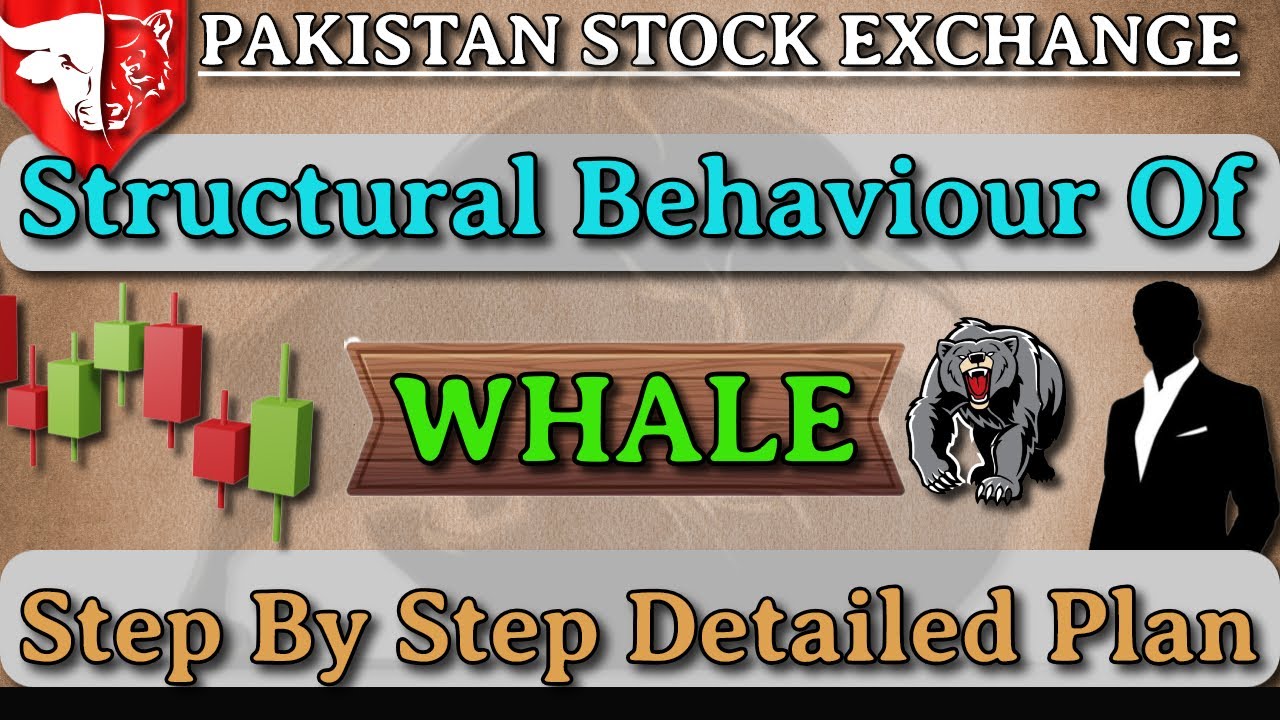 WHALE - Step By Step Detailed Plan |Pakistan Stock Exchange| D-STOCKS ...