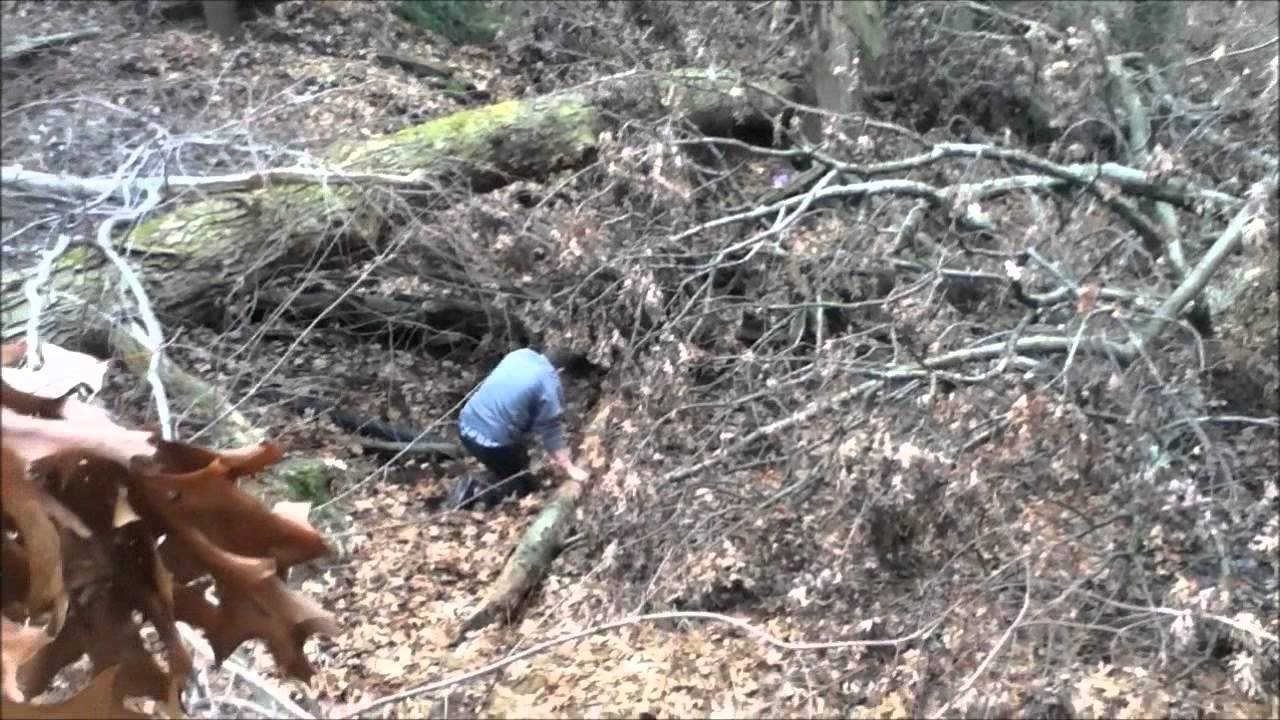 Kid Falls Of Tree - YouTube