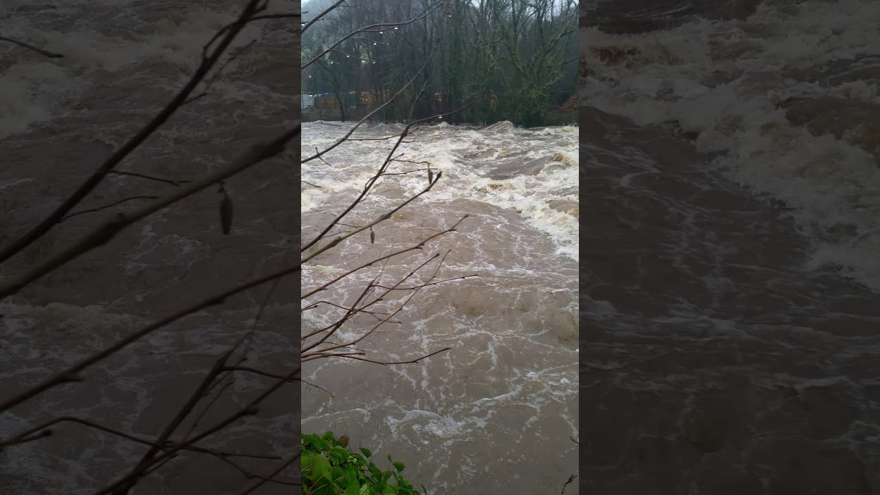 River Dart Buckfastleigh 15 February 2020 - YouTube