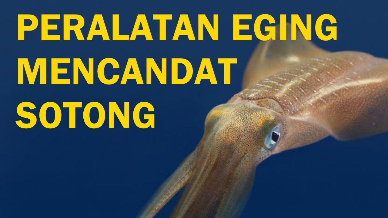 Peralatan Untuk Mencandat Sotong | Eging Sotong - YouTube