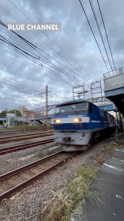 (貨物列車) 2024/11/08 3075レ EF210-120 + コキ20B (札幌タ〜名古屋タ) #Shorts - YouTube